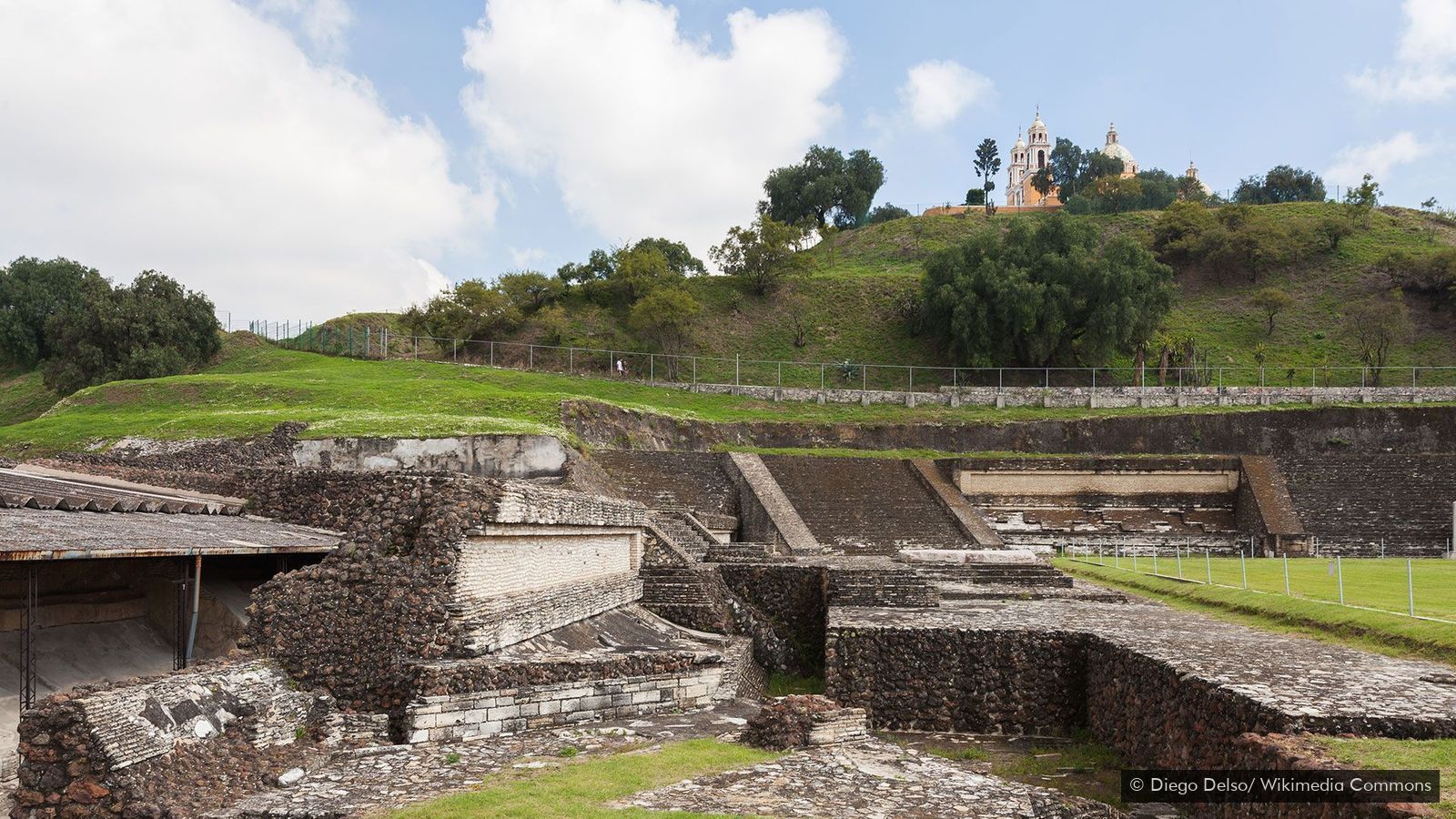 The mourning gecko or Cuija